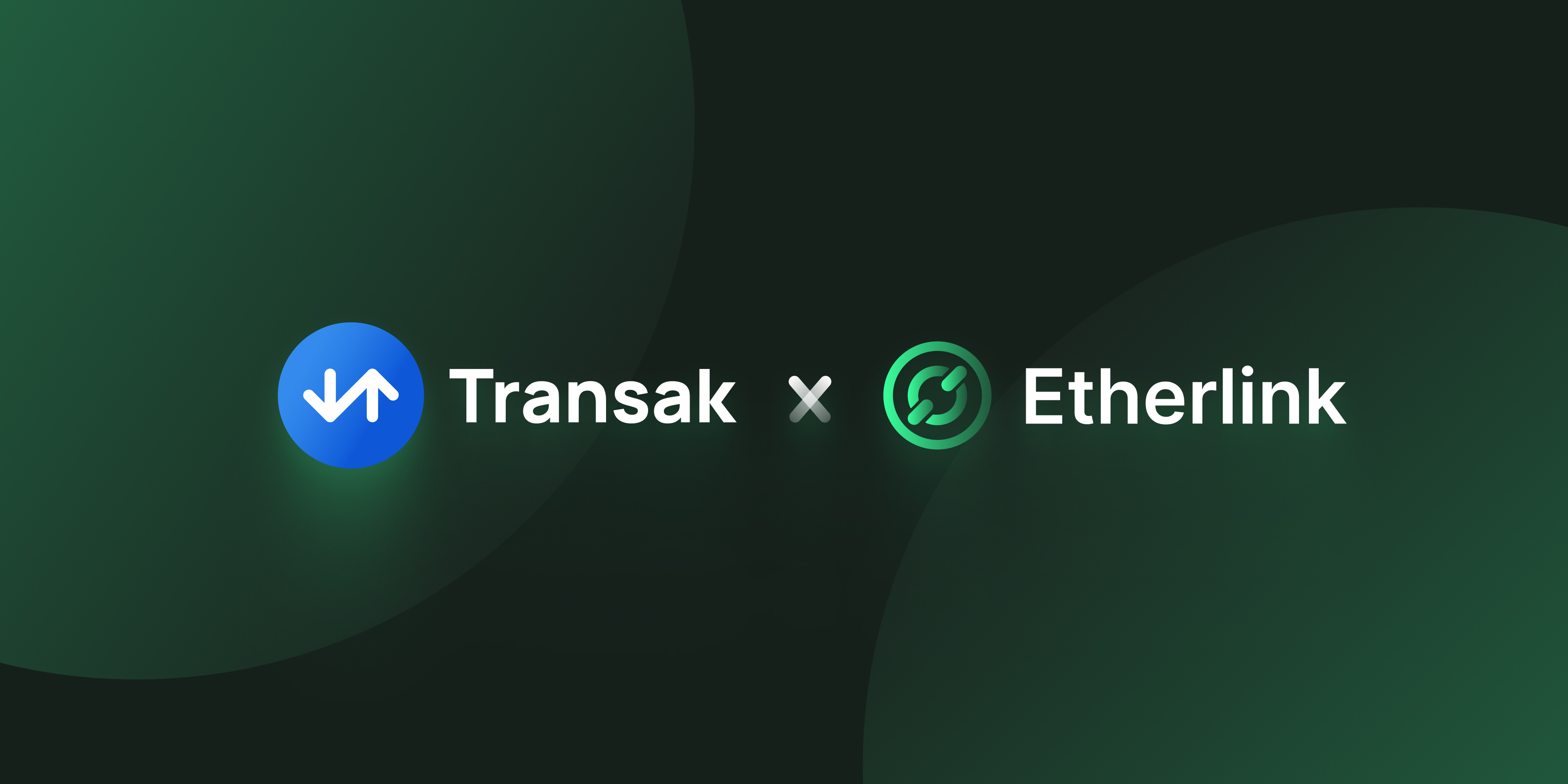 Transak adds support for Etherlink | Transak